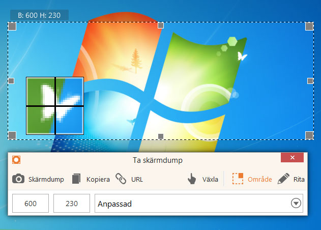 Screen Recorder: spela in skärmen eller gör skärmdumpar gratis ...